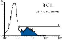 Anti-FMC-7 B-Cell Lymphocyte Marker Antibody, clone FMC-7, FITC ...